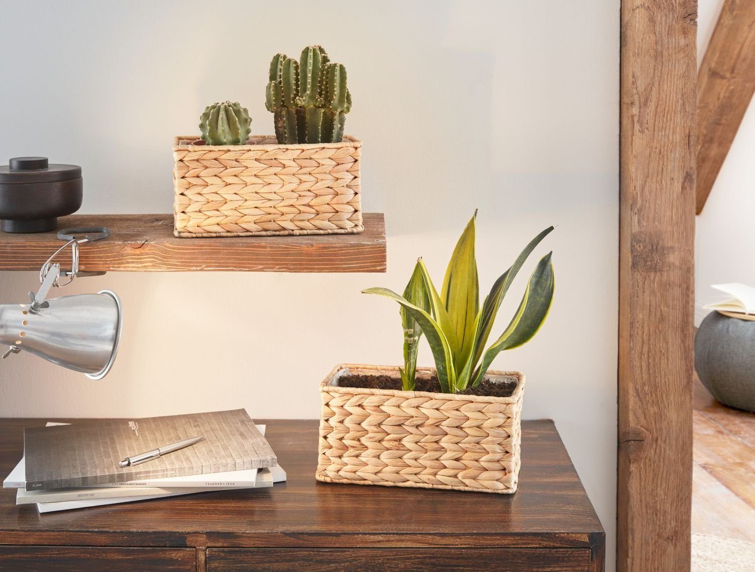 Home Trends24de Blumentopf Pflanzer Pflanzkorb Wasserhyazinthe