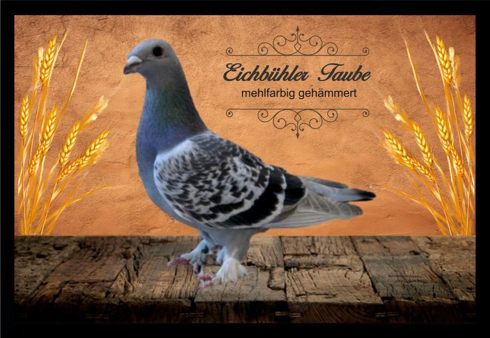 Fußmatte Schmutzfangmatte Eichbühler Taube mehlfarbig gehämmert F2467, Ladreas, 60x40