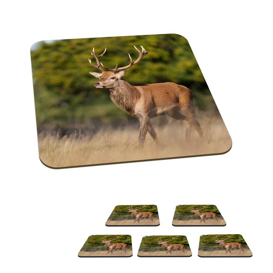 Muchowow Glasuntersetzer Tiere Hirsche Geweihe Waldtiere Natur