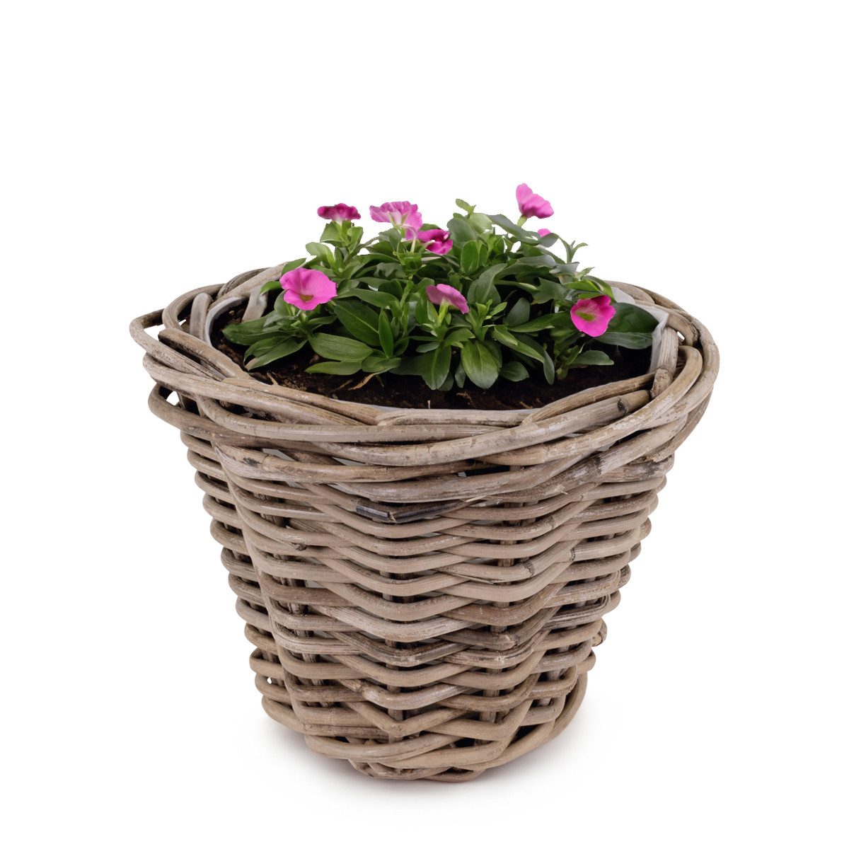 Matches21 Home And Hobby Blumentopf Rattan Pflanzkübel Als Hoher Runder