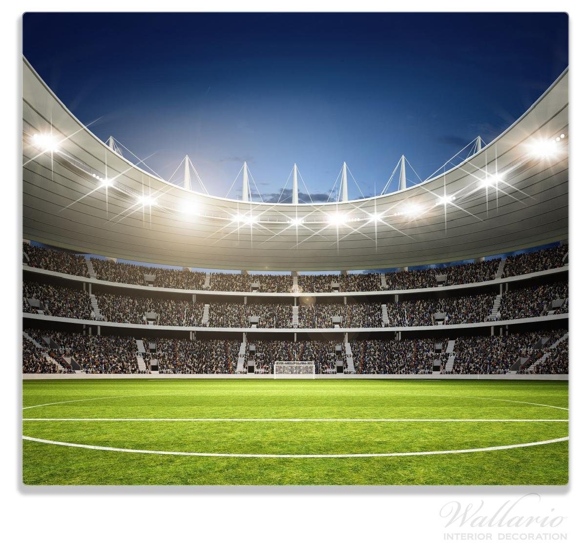 Wallario Herd Abdeckplatte Fußballstadion Mittellinie Esg