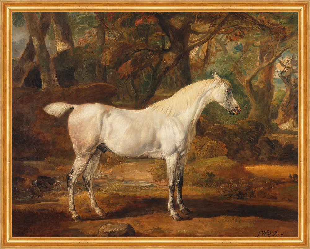 BillerAntik Kunstdruck Grey Arabian stallion James Ward Pferde Deckhengst Arabisch Tiere B A2 ...