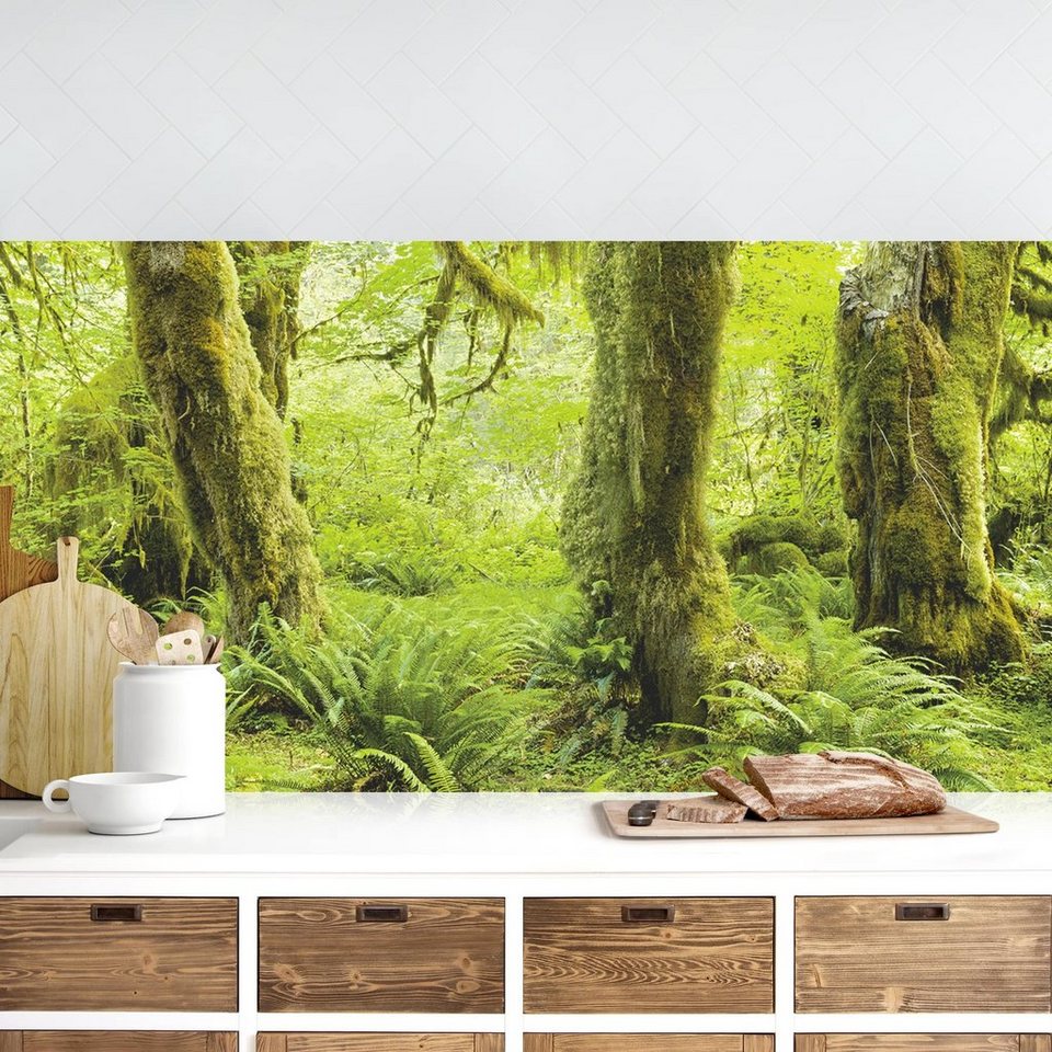 Bilderdepot24 Küchenrückwand Grün Dekor Bäume Wald Natur Hall Of Mosses