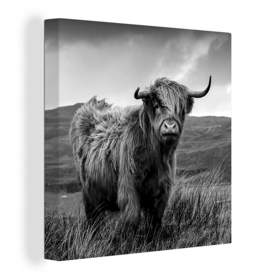 Onemillioncanvasses® Leinwandbild Schottisches Hochlandrind Berg
