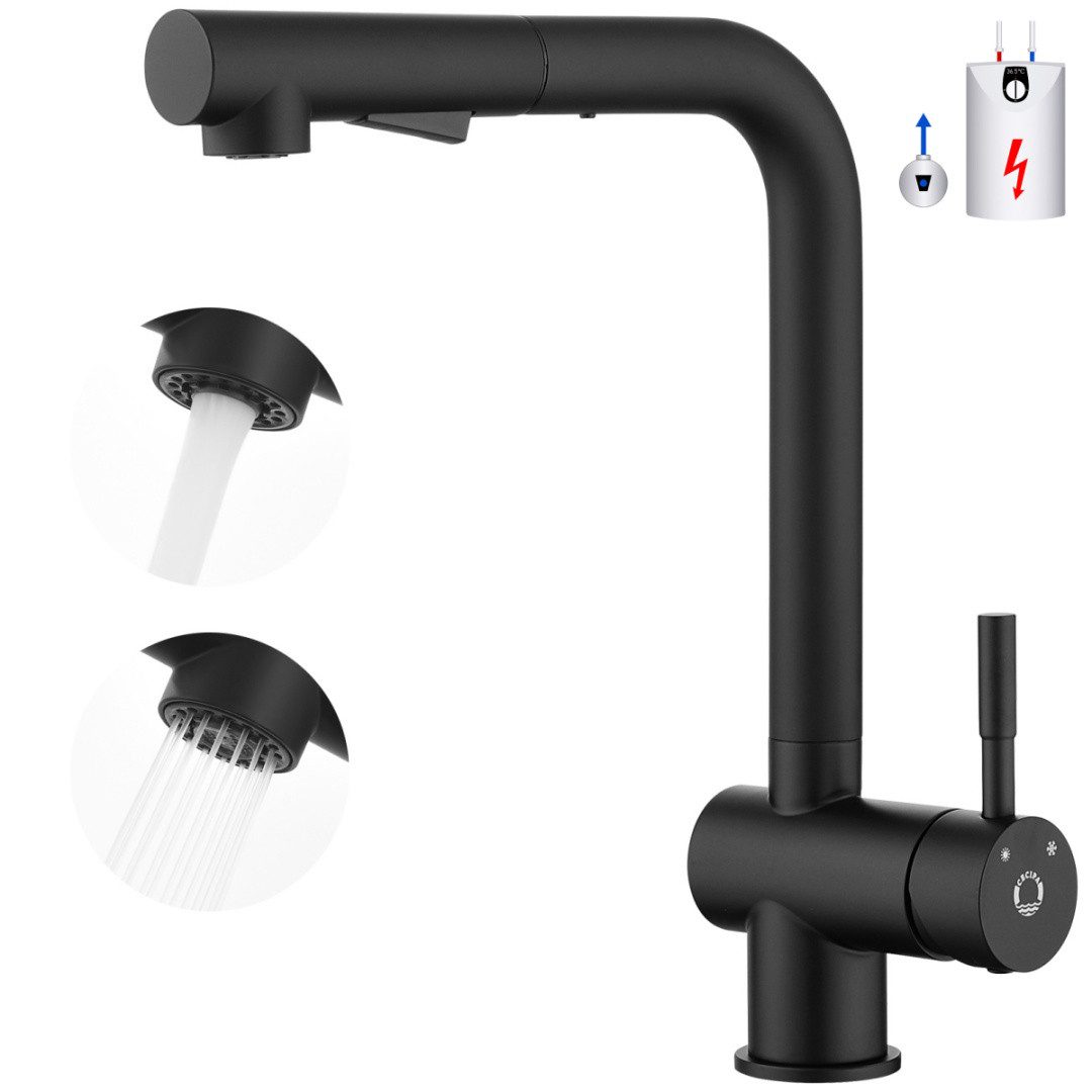 CECIPA MAX Küchenarmatur Küche Armatur Ausziehbare, 2 Wasserausläufe, 360° drehbar, Einhebel ...