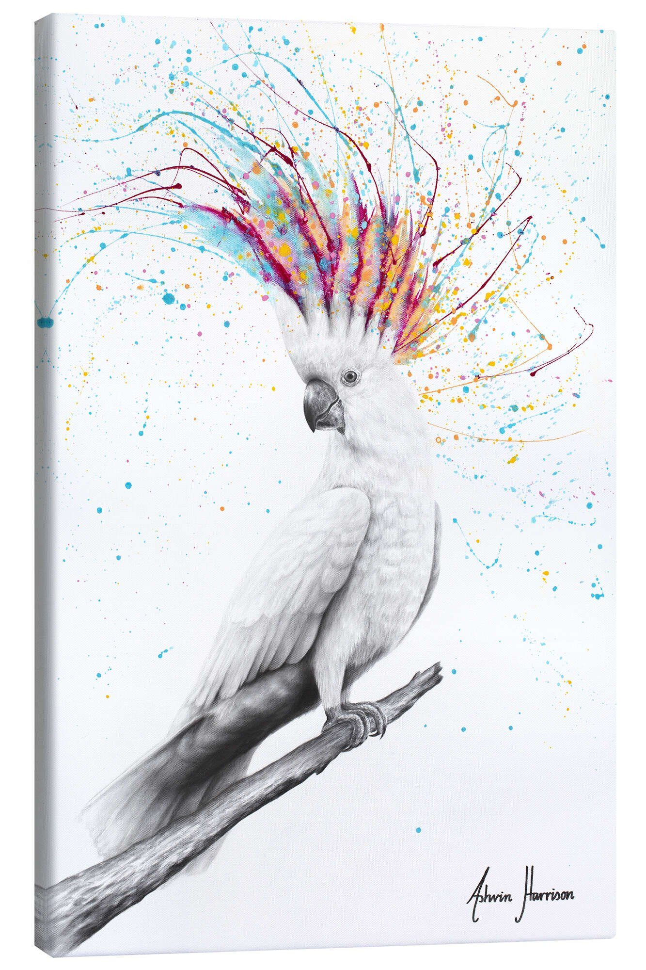 Posterlounge Leinwandbild Ashvin Harrison Cooler Kakadu Kinderzimmer