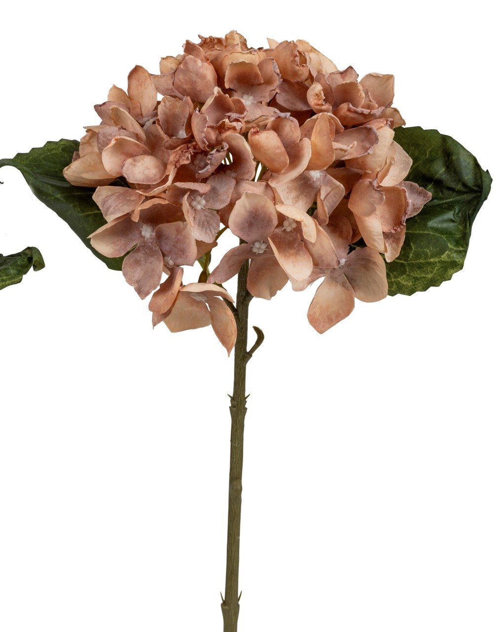 Kunstblume Formano Höhe 34 Cm Braun H34cm D14cm Kunststoff
