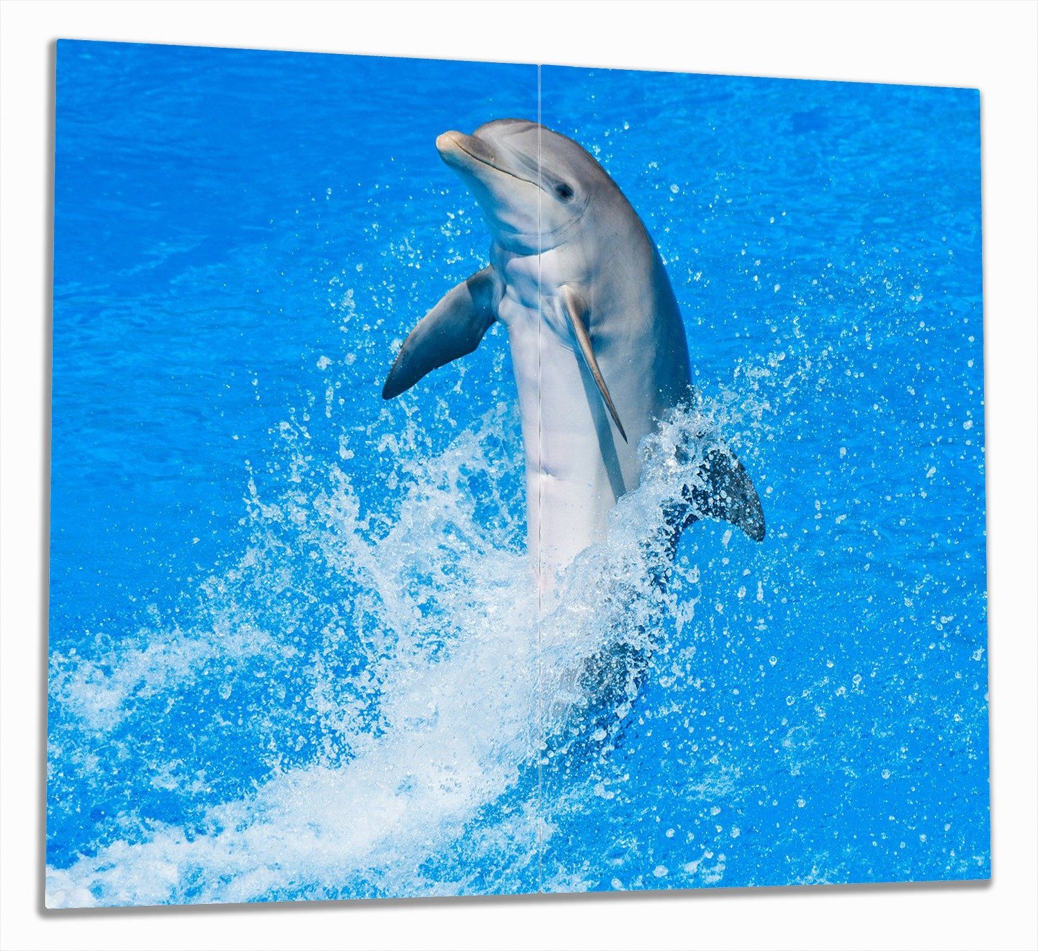 Wallario Herd Abdeckplatte Fröhlicher Delfin Im Blauen Wasser Esg