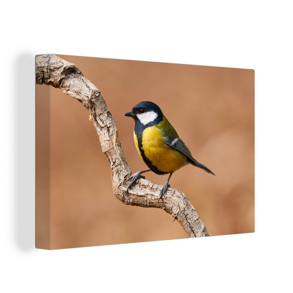 Onemillioncanvasses® Leinwandbild Vogel Kohlmeise Zweige 1 St