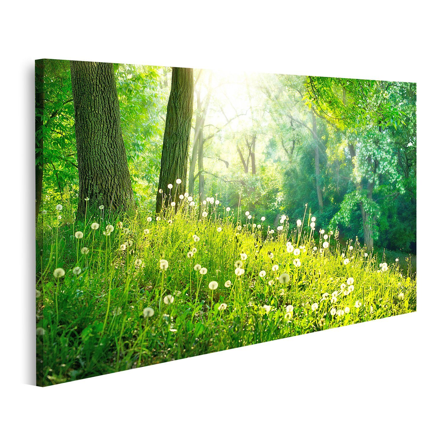 islandburner Leinwandbild »Bild auf Leinwand Frühling Natur Schöne Landschaft Grünes Gras und ...