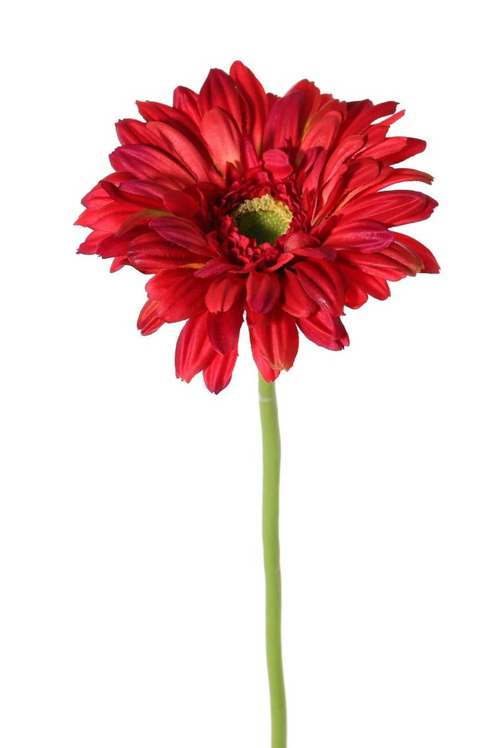 Kunstblume Deko Gerbera Helli, rot, 65cm, Ø12cm Gerbera, artplants ...
