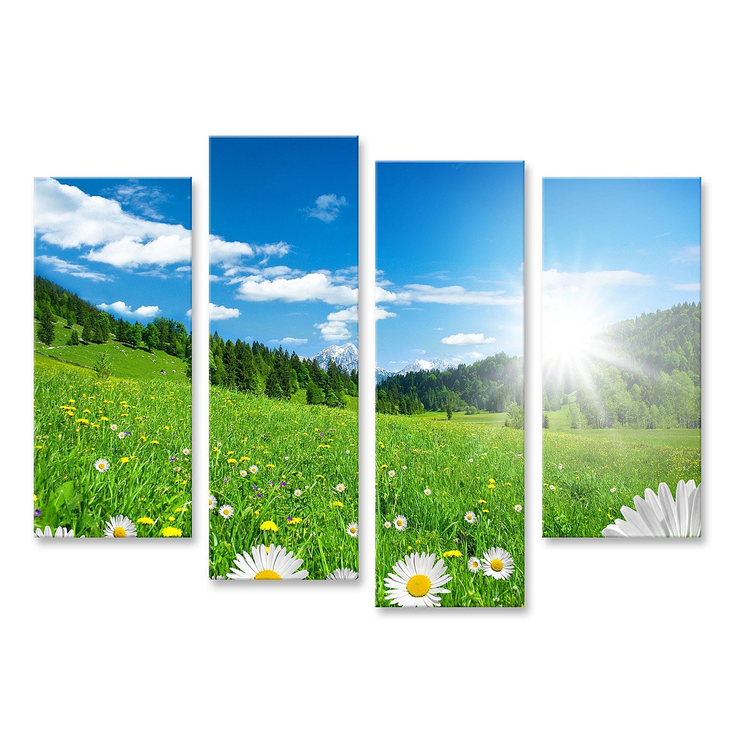 islandburner Leinwandbild Bild auf Leinwand Frühling in den Alpen mit Blumen und Himmel Wandbild