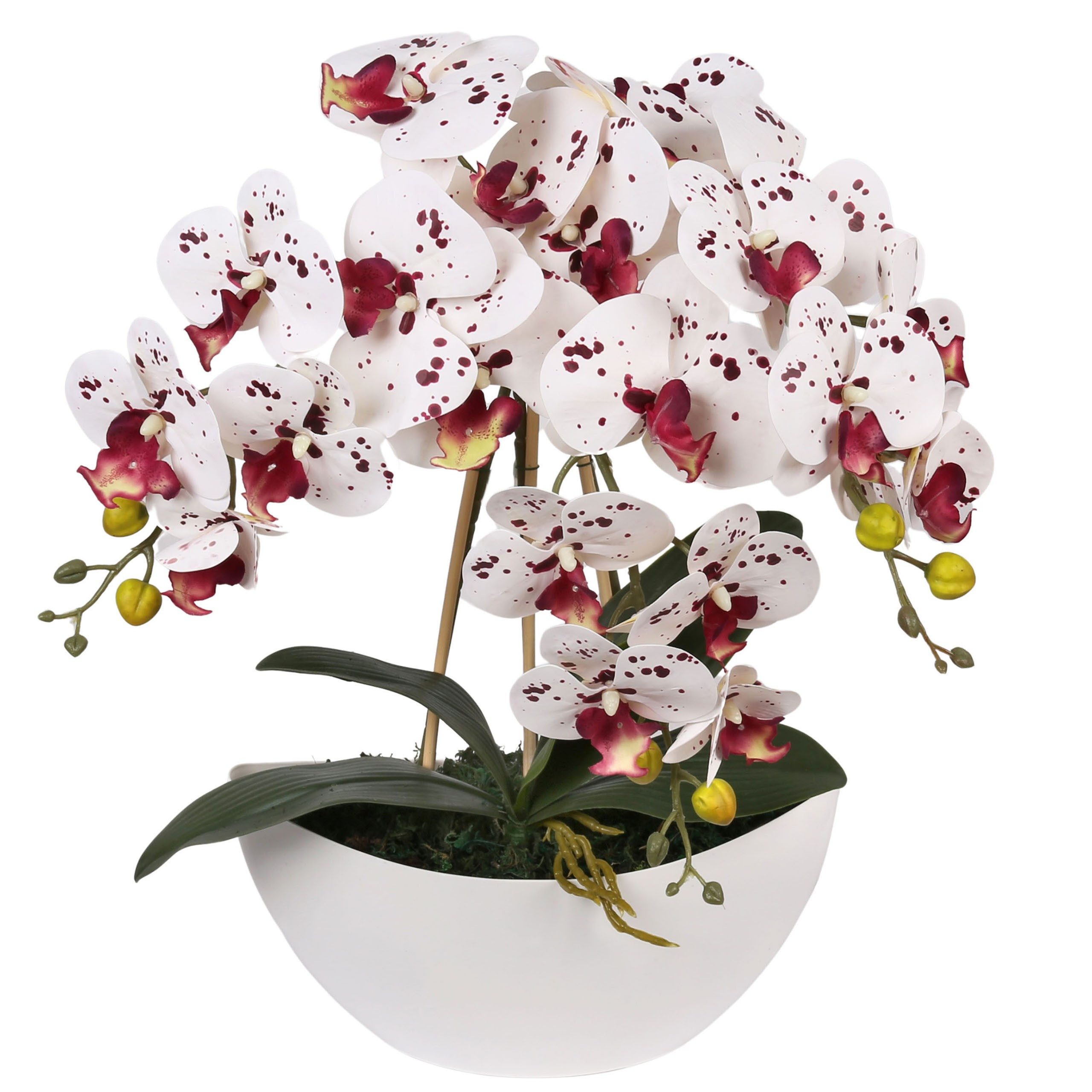 Kunstblume Künstliche Orchidee Im Topf Weiß Dunkelrote Orchidee 53 Cm