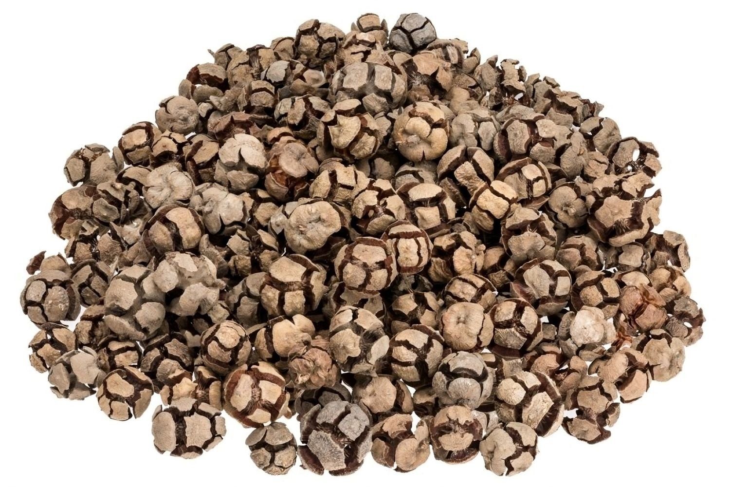 Nadeco Bastelnaturmaterial Zypressen Zapfen In Natur 05kg Ca 80 100