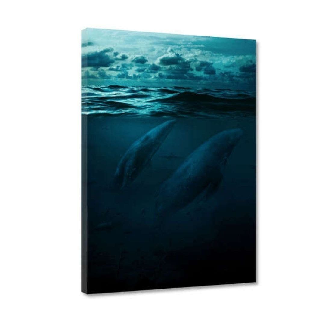 Hustling Sharks Leinwandbild Exklusives Tier Bild Als Xxl Leinwandbild