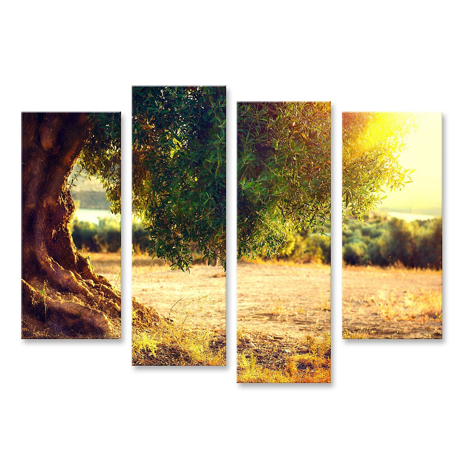 islandburner Leinwandbild Bild auf Leinwand Olivenbäume Am Sonnenuntergang Mediterranen Wandbild