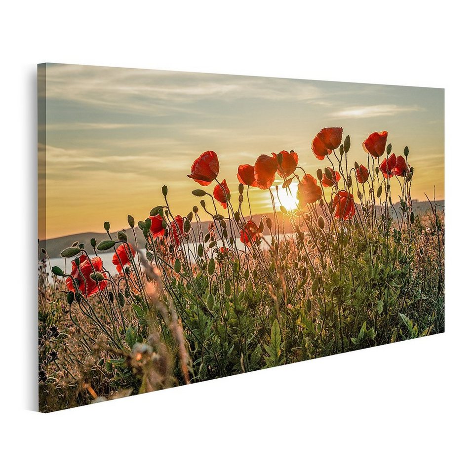 Islandburner Leinwandbild Bild Auf Leinwand Roter Mohn Sonne Geht