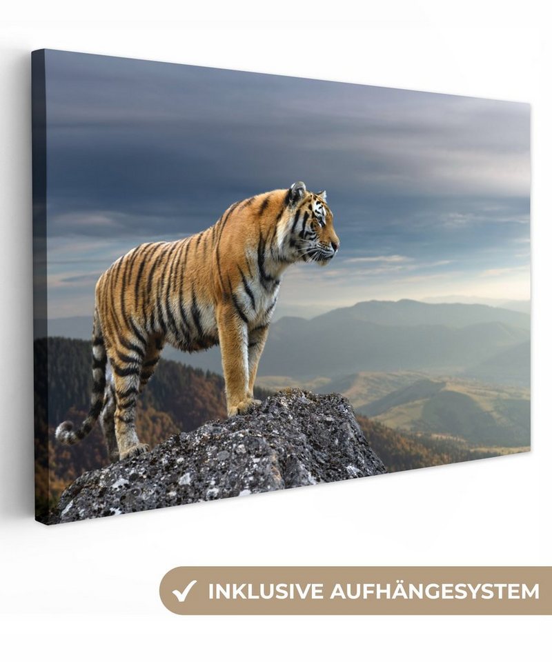 Onemillioncanvasses® Leinwandbild Tiger Berg Natur Landschaft 1