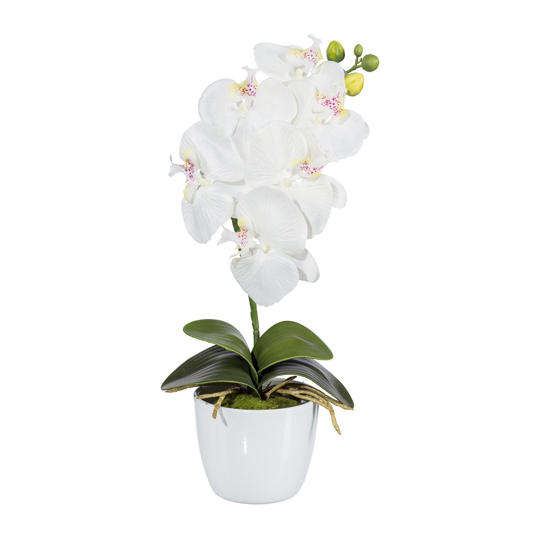Kunstpflanze 2er Set Phalaenopsis Ca 40cm Weiß Im Keramiktopf 11cm