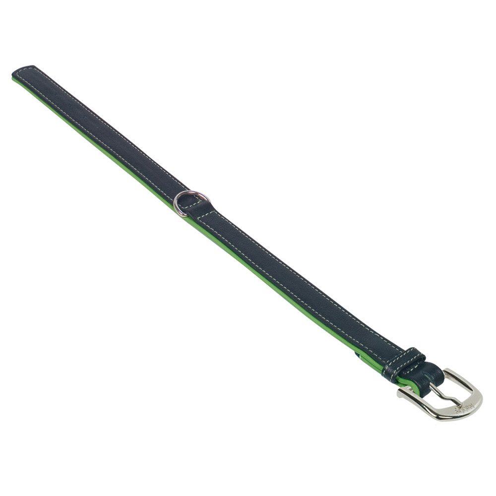 Nobby Hunde-Halsband Halsband Pacific Deluxe einreihig grün