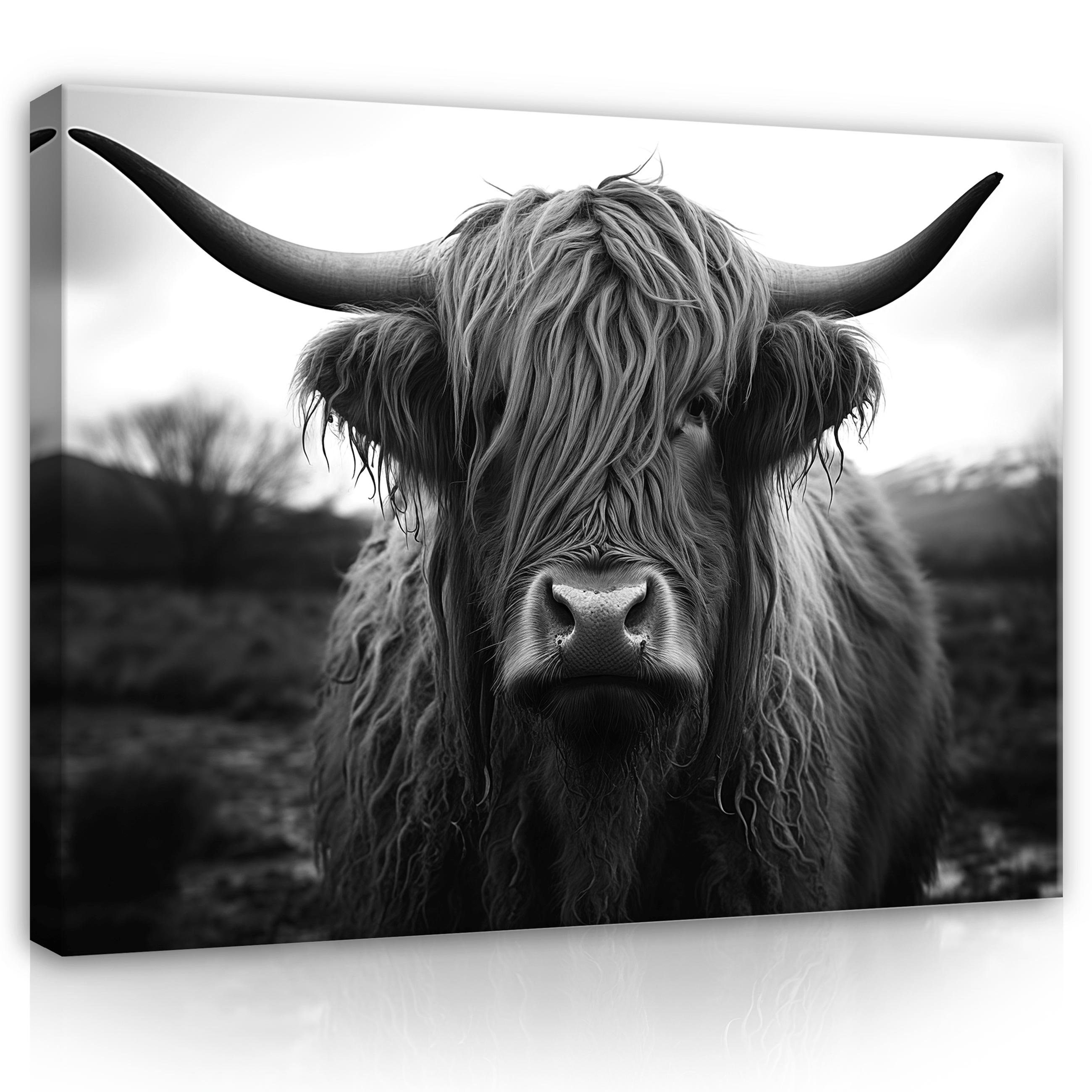 Wallarena Leinwandbild WALLARENA Leinwandbild Natur Grau Wandbild ...