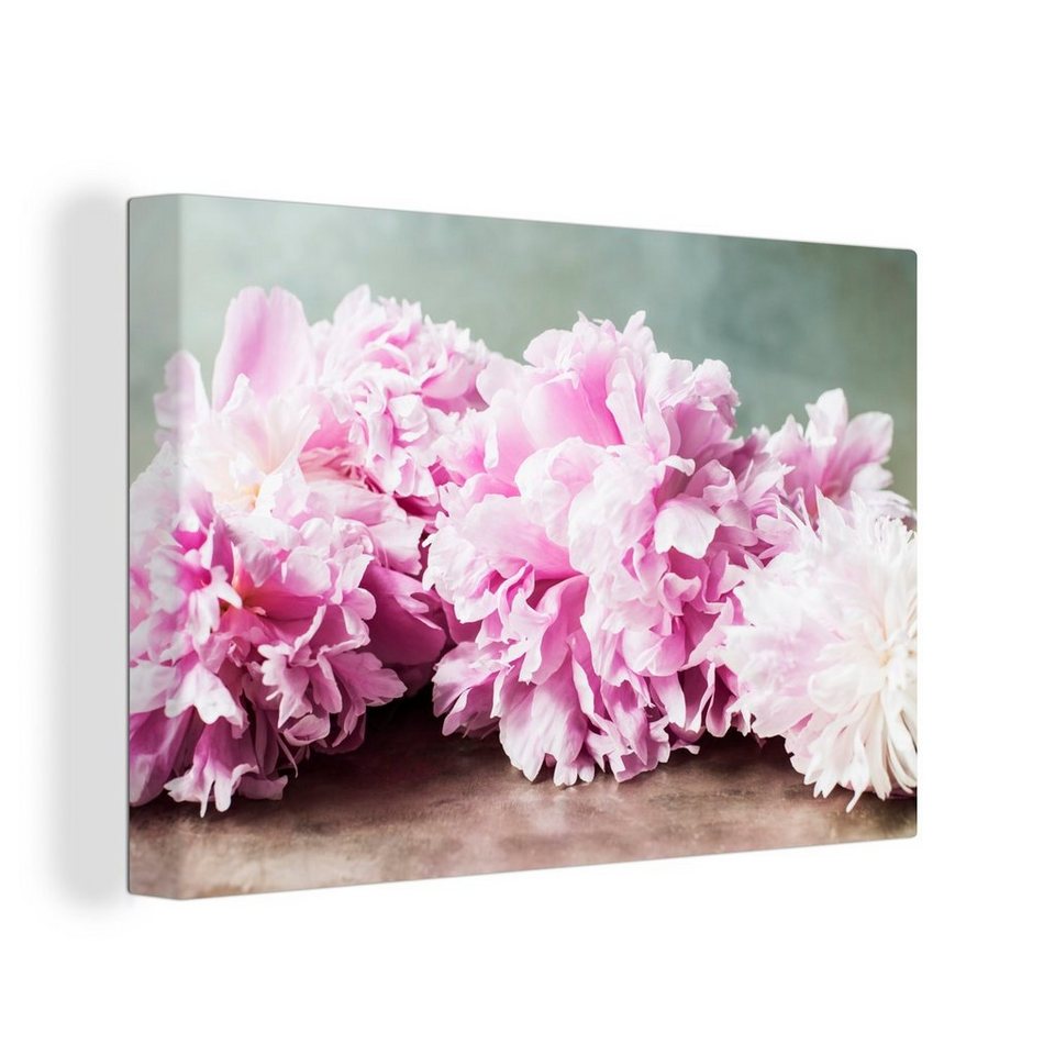 Onemillioncanvasses® Leinwandbild Blumen Rosa Pfingstrose