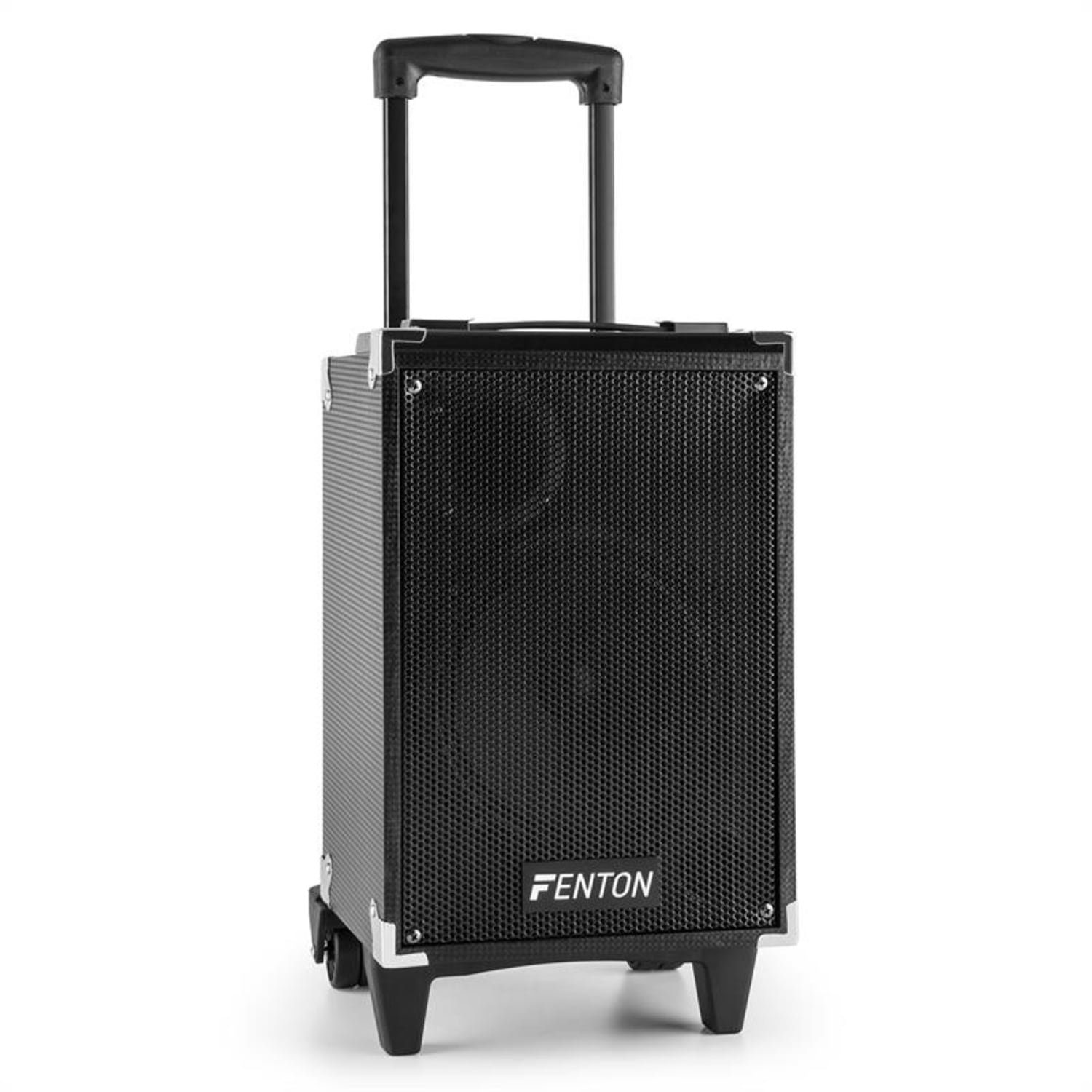 FENTON ST050 Portable-Lautsprecher, Box tragbar
