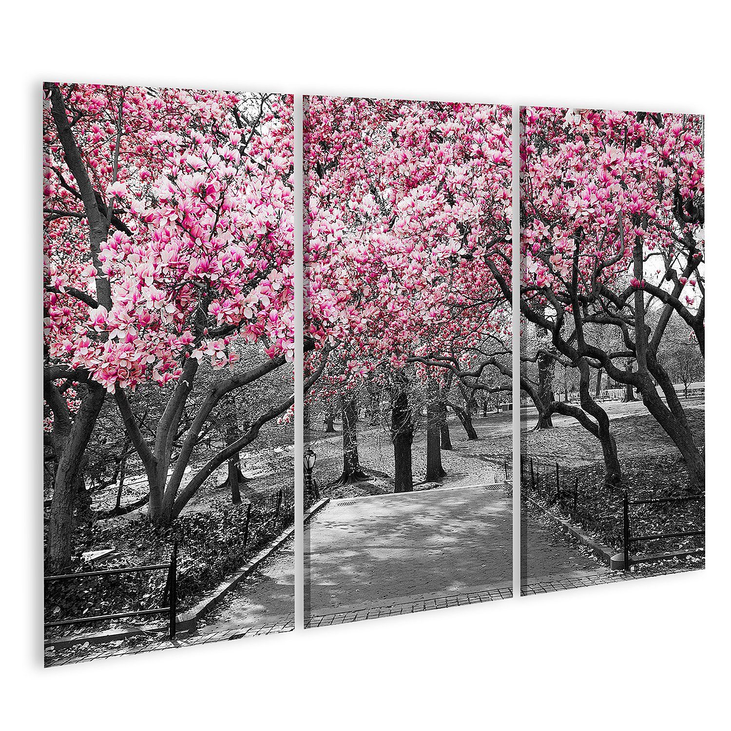 islandburner Leinwandbild Bild auf Leinwand New York City Pink Blossoms Schwarz-Weiß Wandbild ...