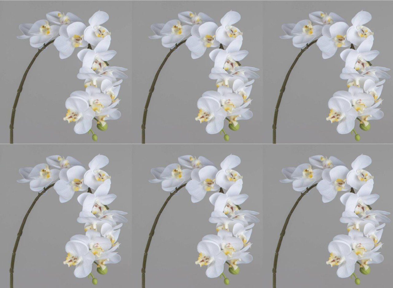 Kunstblume Formano Höhe 56 Cm Weiß H56cm Kunststoff Lieferumfang