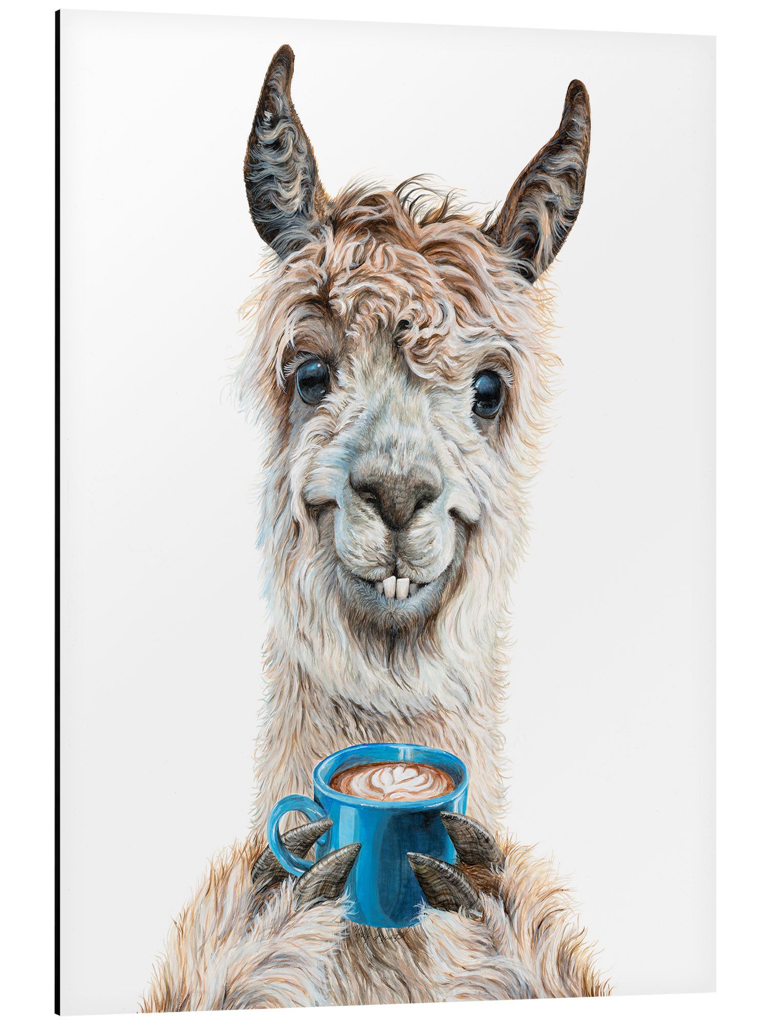 Posterlounge Alu Dibond Druck Holly Simental Lama Latte Küche