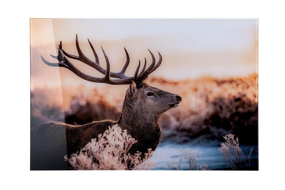Gilde Bild Gilde Bild Hirsch Braun H 60cm X B 90cm