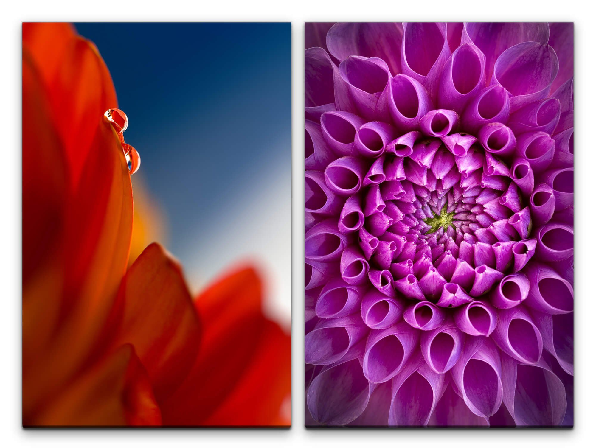 Sinus Art Leinwandbild 2 Bilder Je 60x90cm Dahlie Blumen Rot Rosa