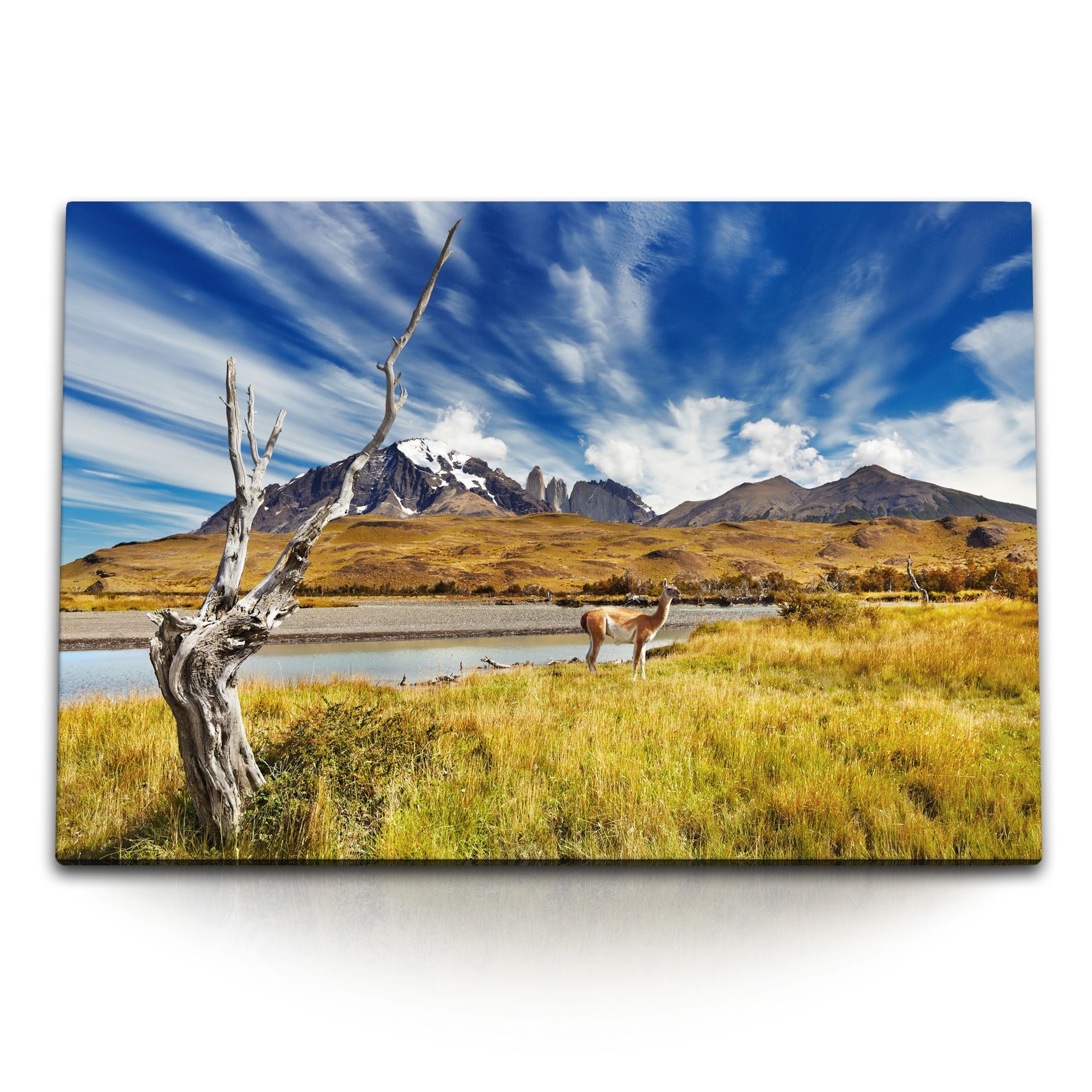 Sinus Art Leinwandbild 120x80cm Wandbild auf Leinwand Patagonia Chile Landschaft Lama Berge b ...