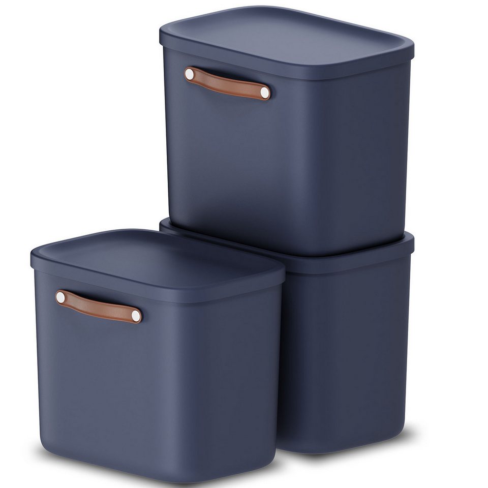 Rotho Stapelbox 3er Set Kiste Mit Deckel Maloja 25l Aufbewahrungsset
