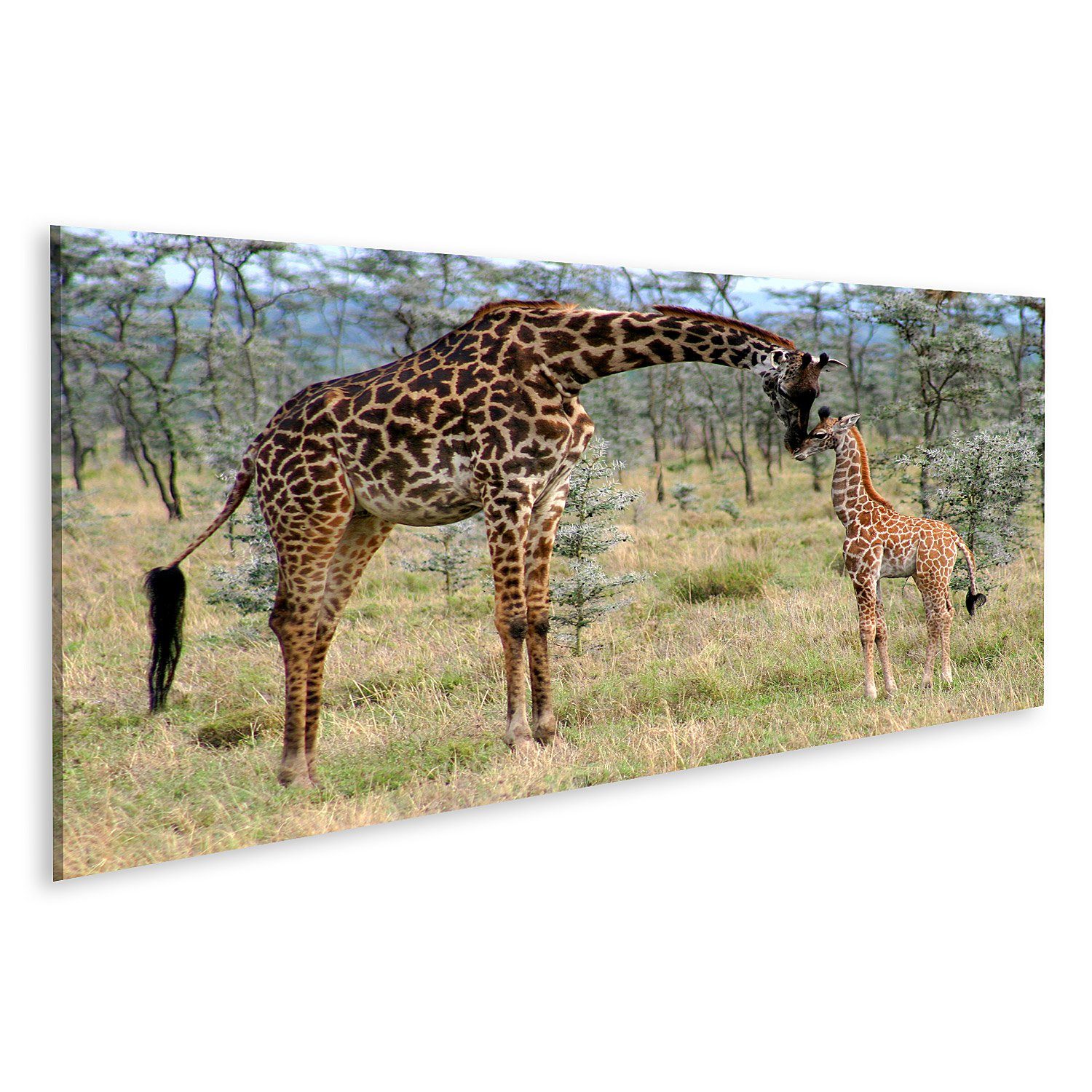 islandburner Leinwandbild Bild auf Leinwand Mutter Baby Giraffe Wandbild Poster Kunstdruck Bilde
