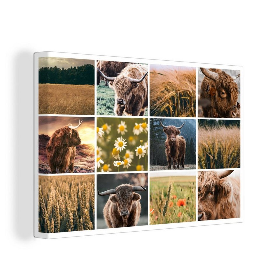 Onemillioncanvasses® Leinwandbild Schottischer Highlander Collage