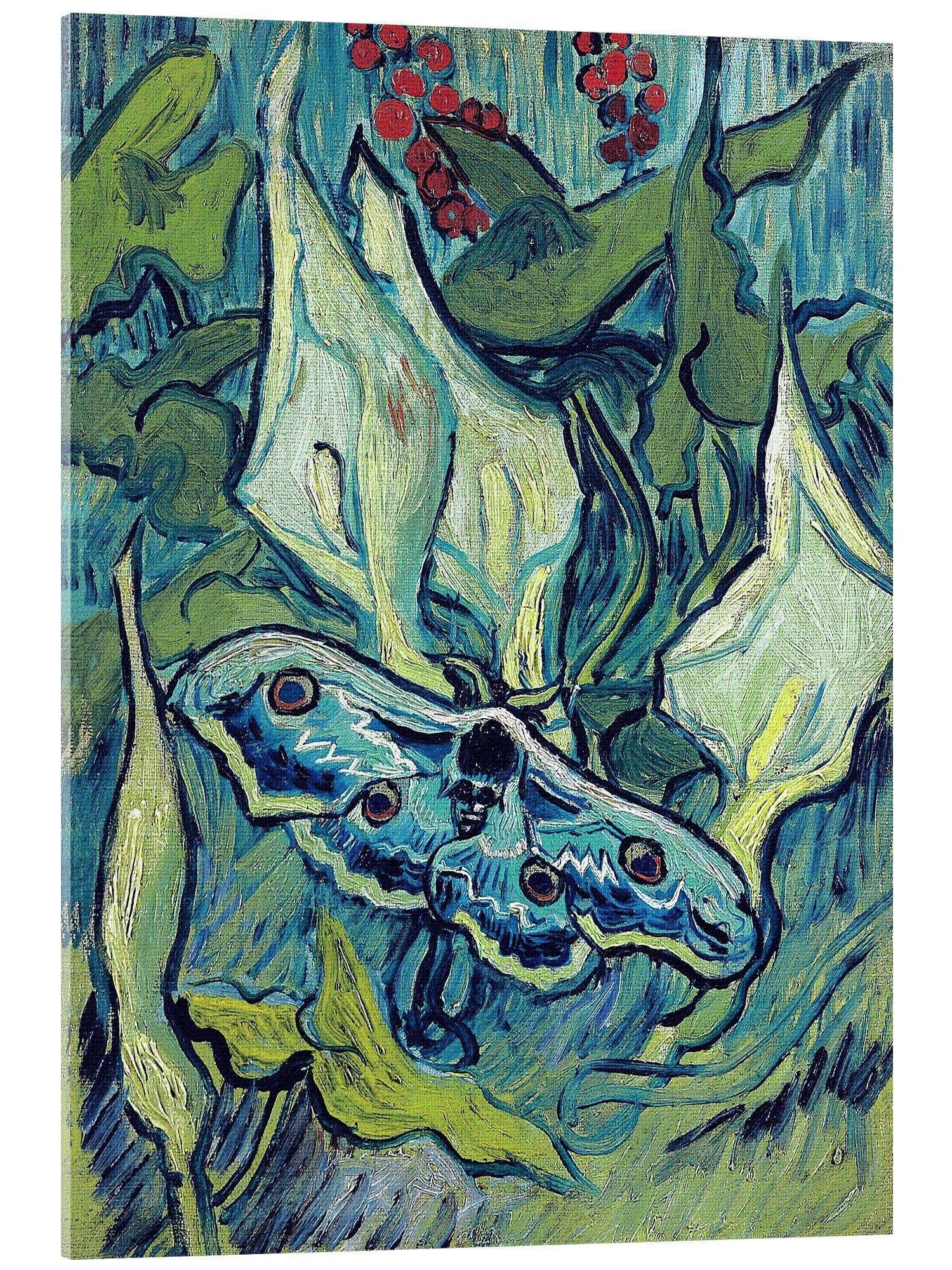Posterlounge Acrylglasbild Vincent Van Gogh Totenkopf Motte