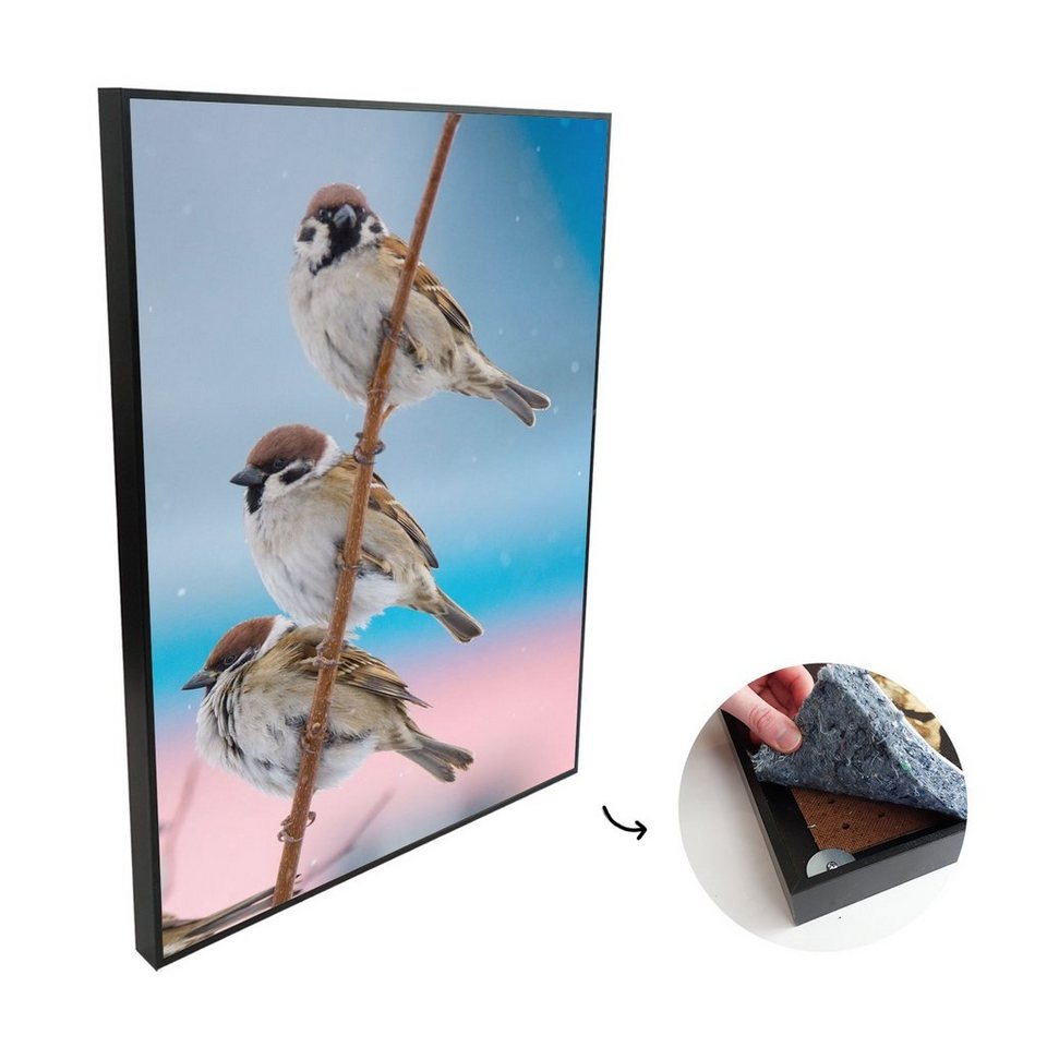 Muchowow Akustikplatte Vögel Spatz Tiere Äste 1 St