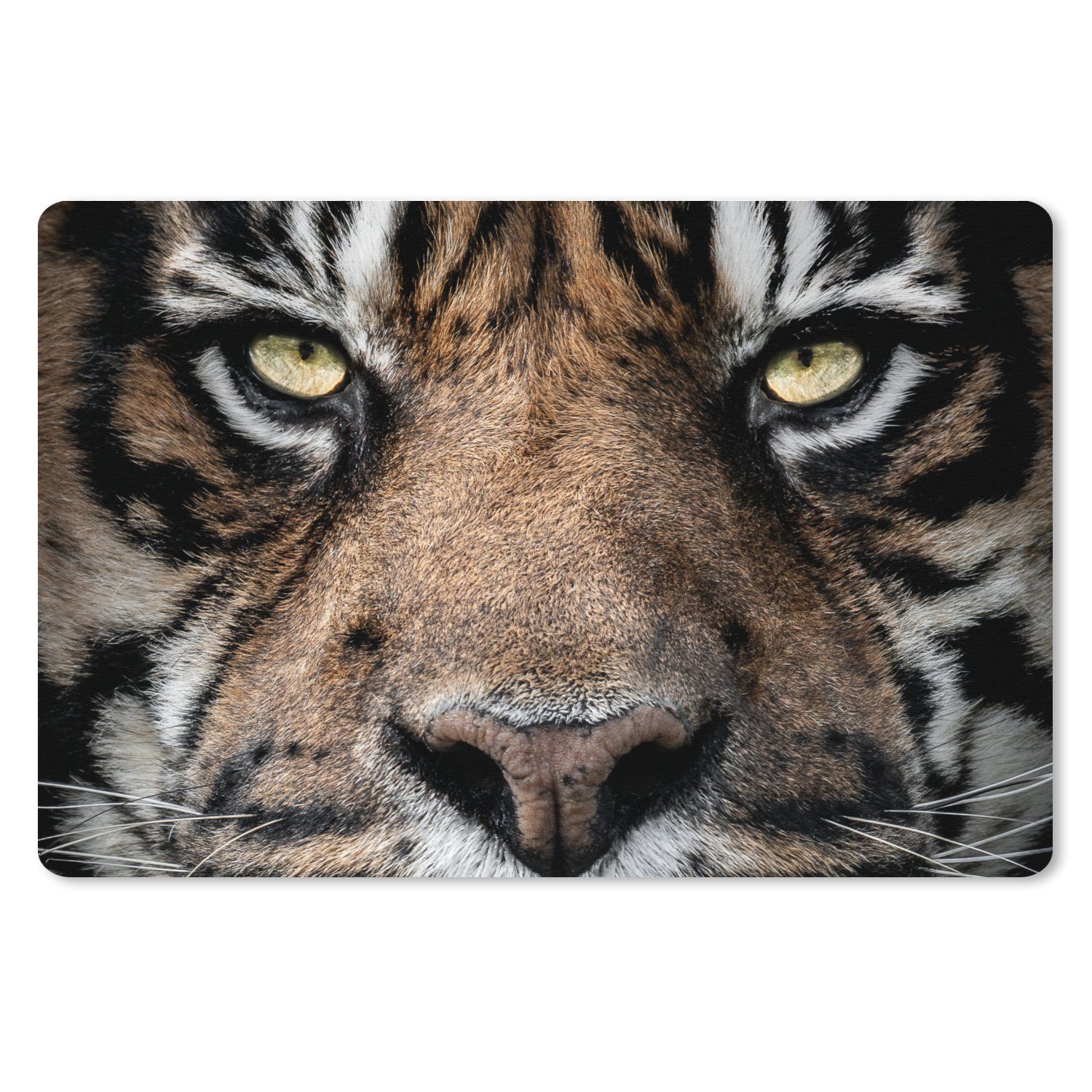 Muchowow Gaming Mauspad Tiger Nahaufnahme Tier 1 St Büro Für