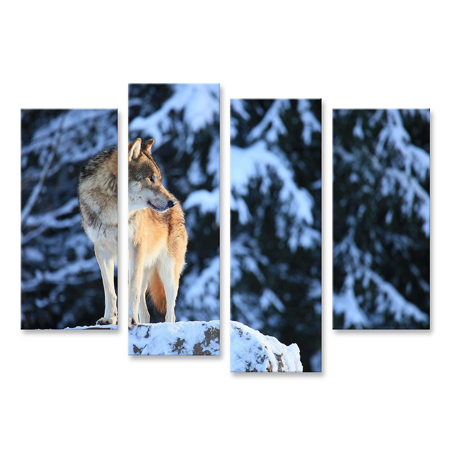 islandburner Leinwandbild Bild auf Leinwand Wolf Vor Berg Schnee Wandbild Poster Kunstdruck ...