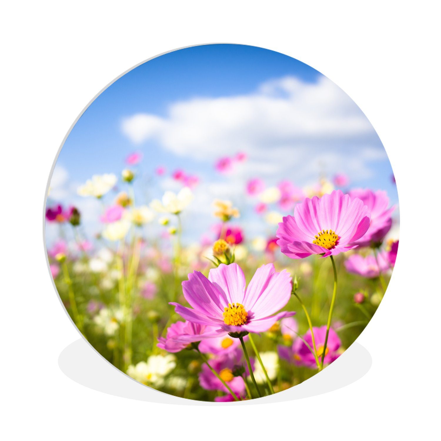 Muchowow Gemälde Blumen Wiese Lila Gras Weiß Wolken Blau