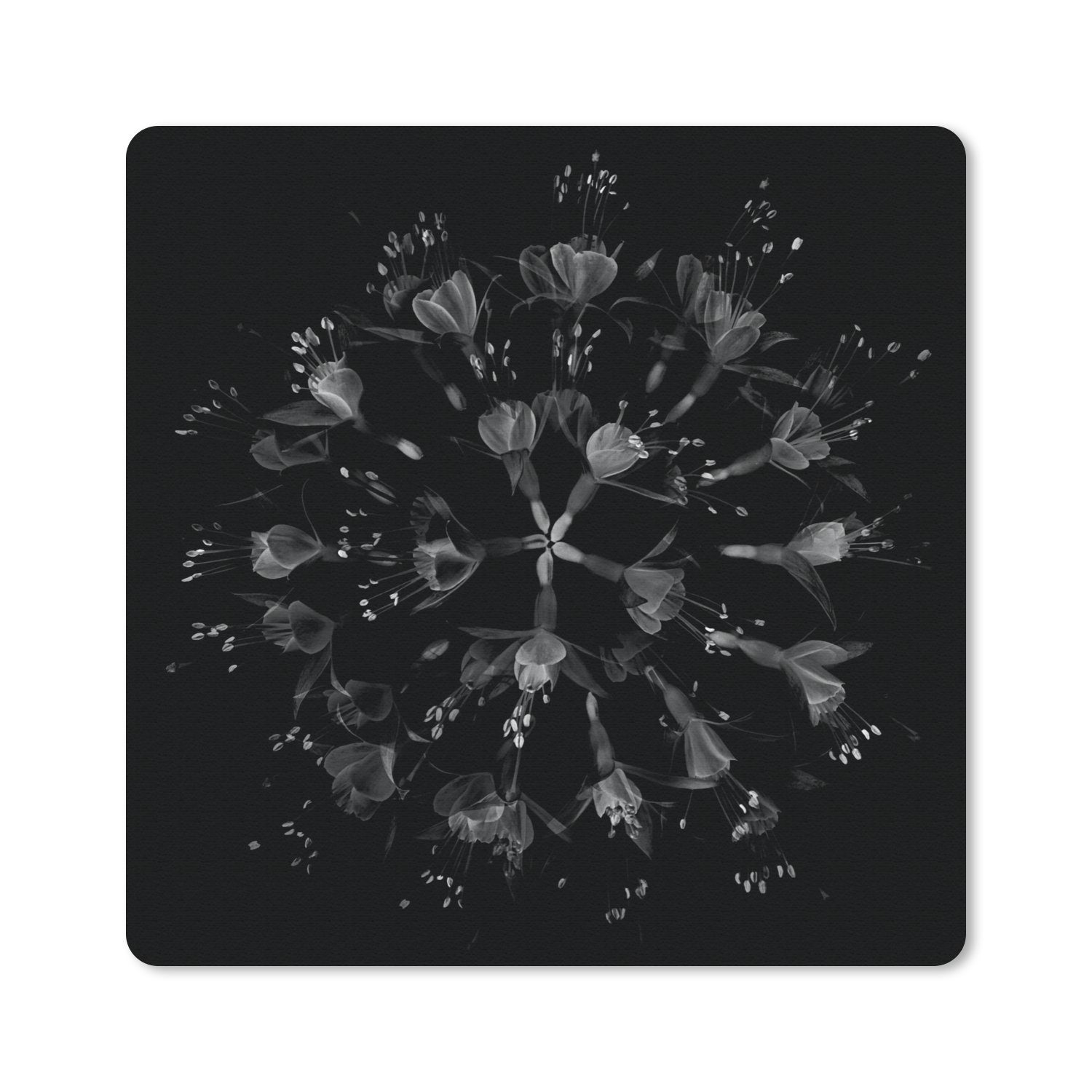 Muchowow Mauspad Blume Lila Blau Makro Schwarz 1 St Gaming