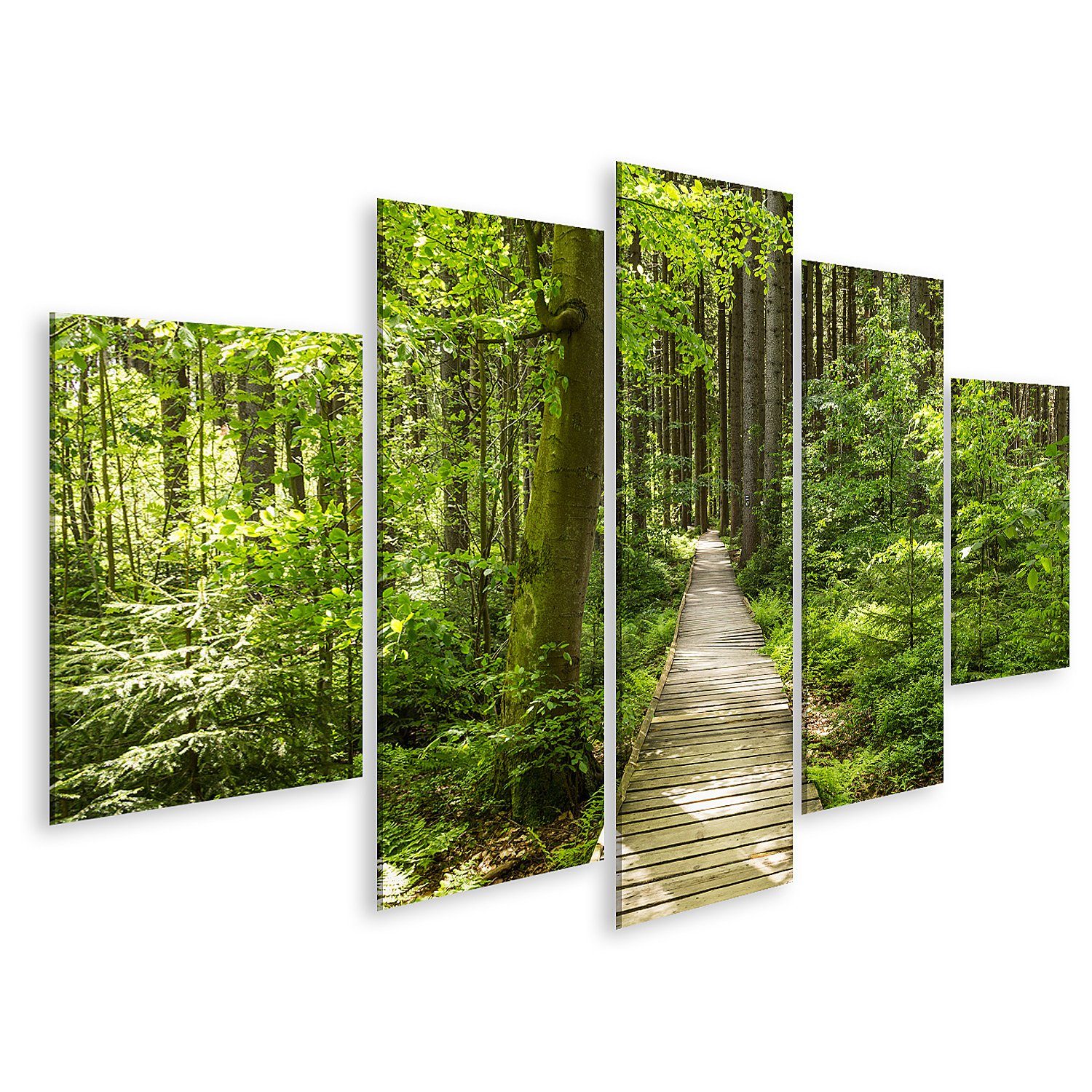 islandburner Leinwandbild Bild auf Leinwand Wald Pfad Bäume Grüne Blätter Wandbild Poster ...