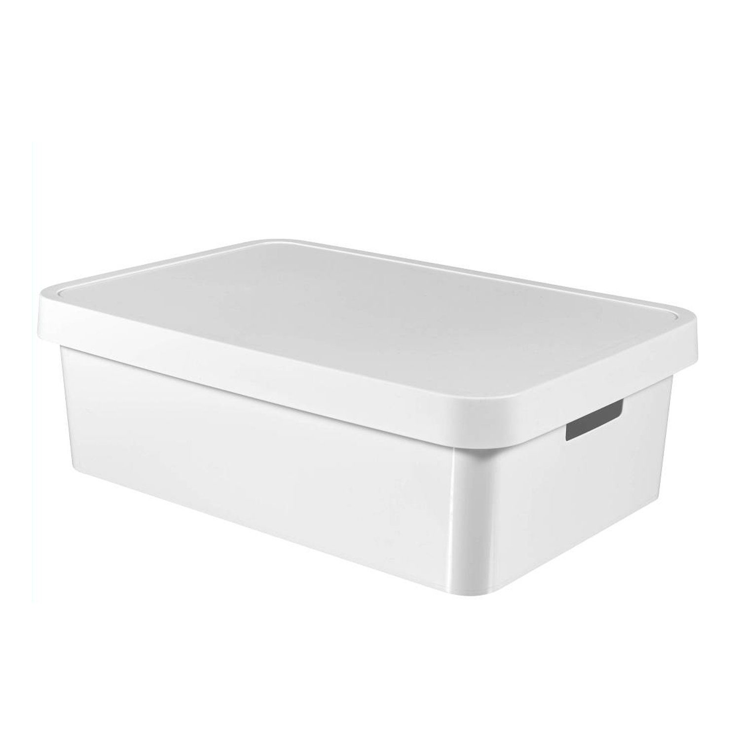 Curver Aufbewahrungsbox, Behälter mit Deckel Infinity 30 L