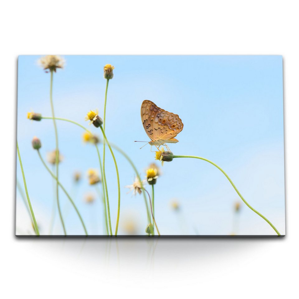 Sinus Art Leinwandbild 120x80cm Wandbild Auf Leinwand Sommer