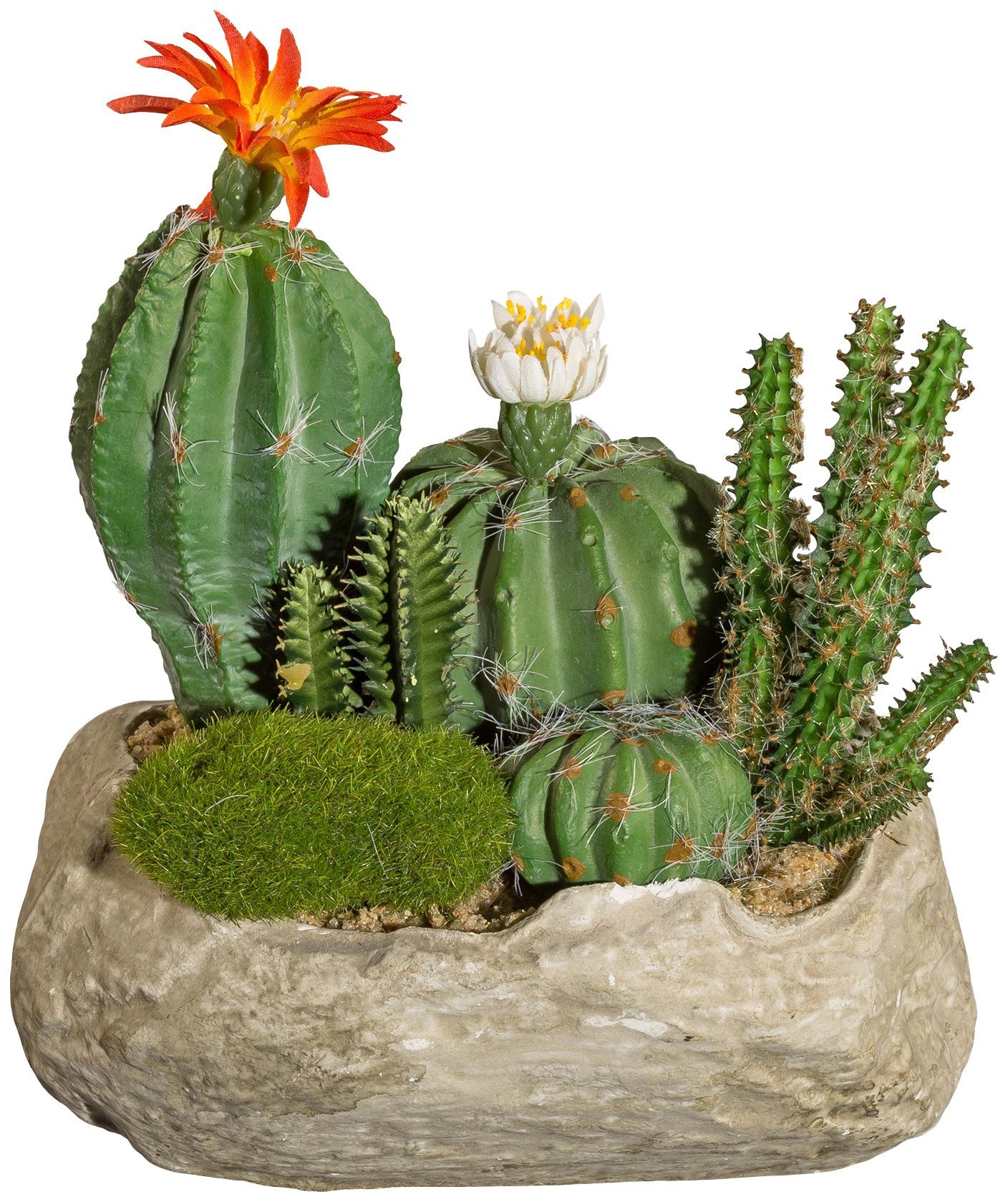 Kunstpflanze Kakteen Arrangement Im Kunststofftopf H 18 Cm Online