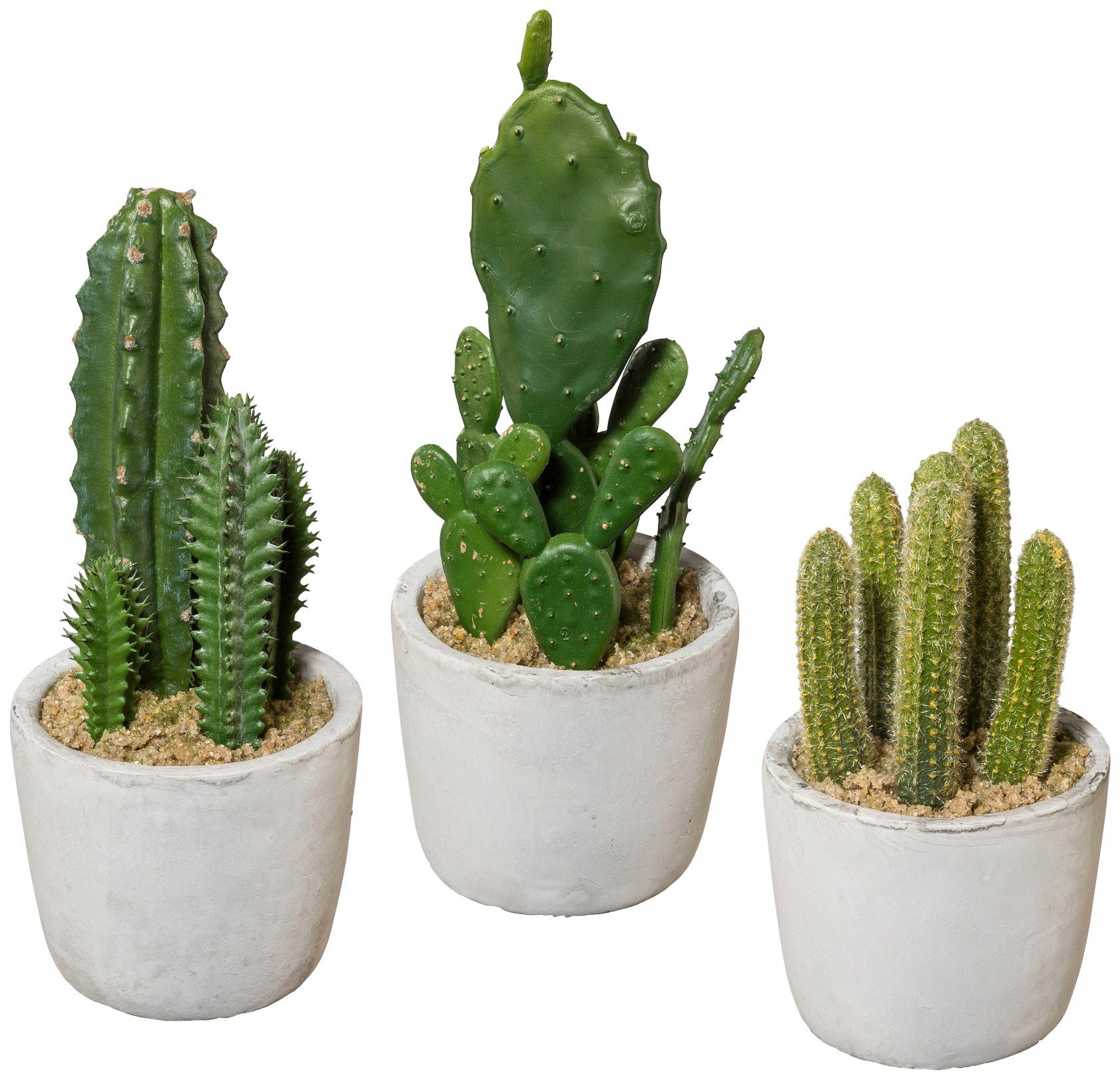 Kunstpflanze Kakteen Arrangement 3 Stk Im Zementtopf Höhe 22 Cm