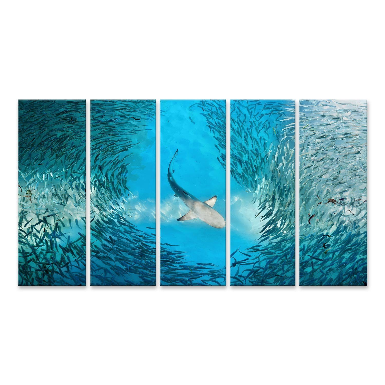 islandburner Leinwandbild Bild auf Leinwand Hai und kleine Fische im Ozean Wandbild Poster Kunst