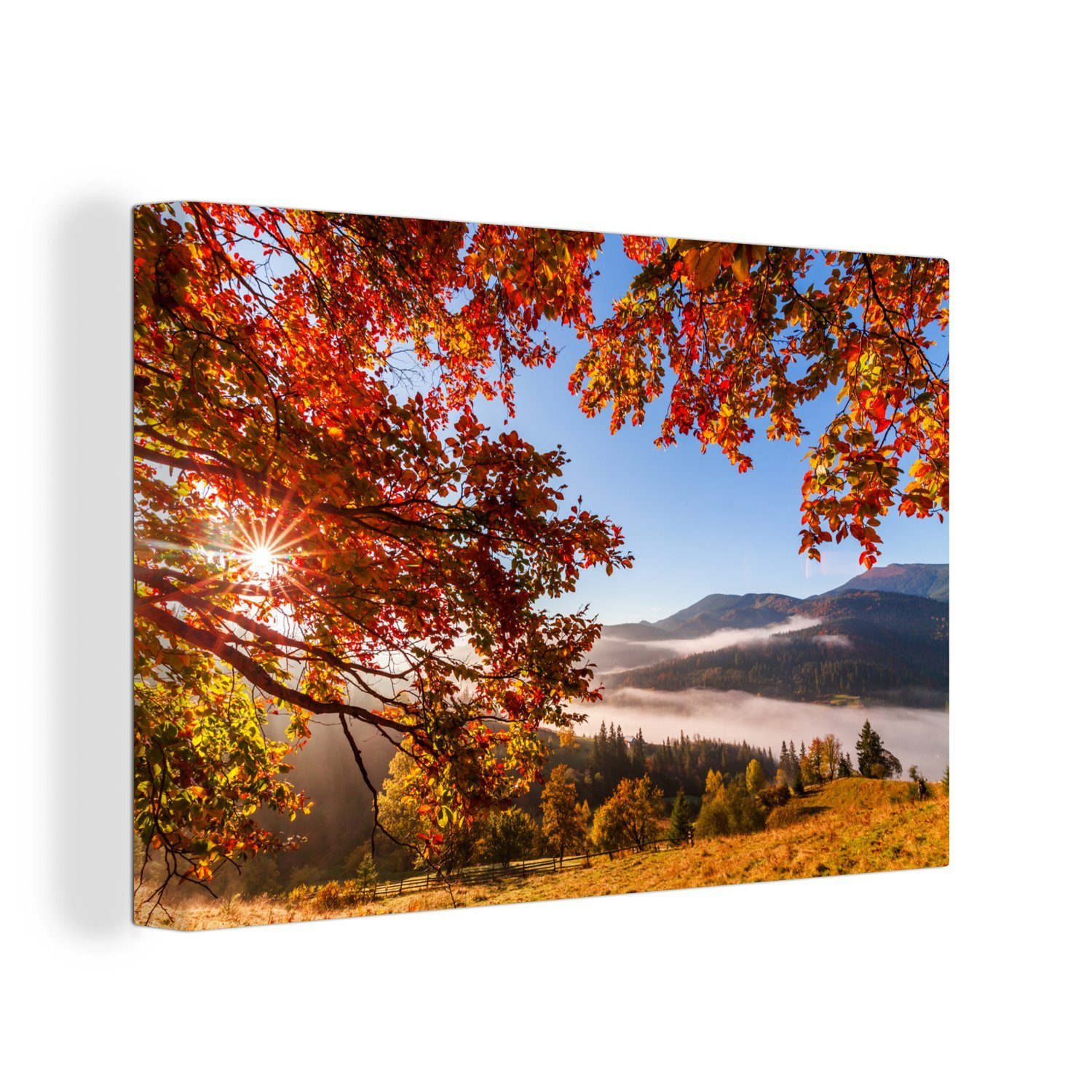 Onemillioncanvasses® Leinwandbild Herbst Baum Licht 1 St