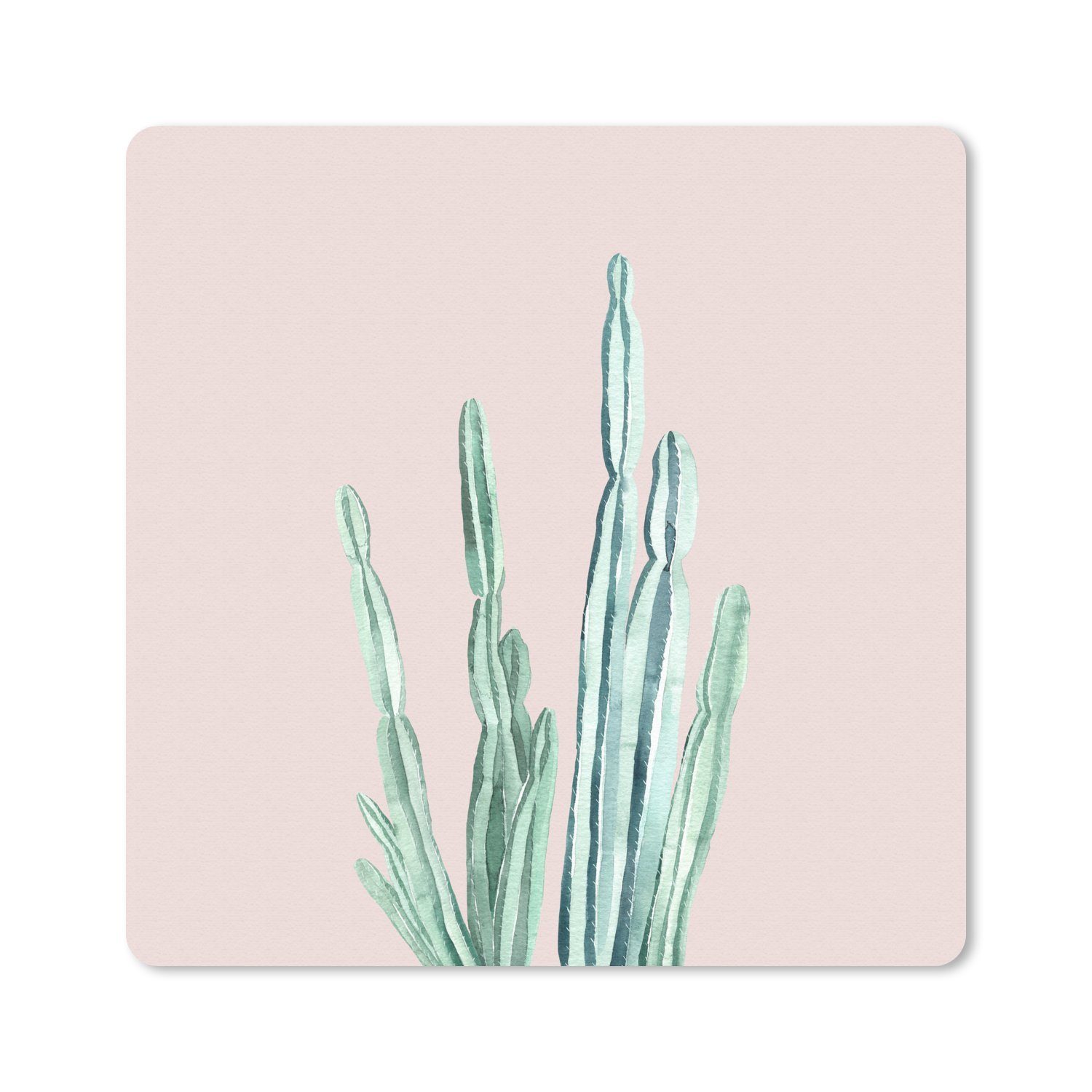 Muchowow Mauspad Kaktus Sukkulenten Rosa 1 St Gaming Mousepad